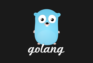 How Go helped shape Splice engineering culture