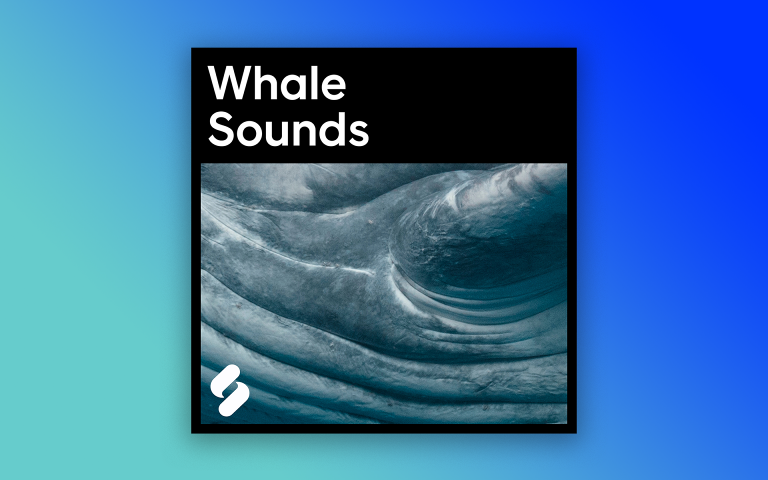 David Rothenberg on capturing the mysterious and beautiful sounds of ...