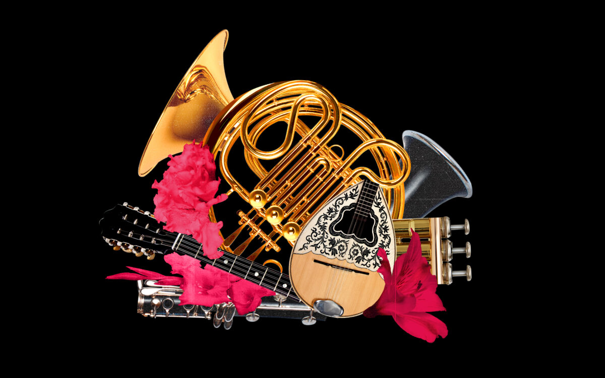 Mariachi Instruments: A Guide to the Vihuela, Trumpet, and More - Blog ...